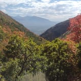 Spring Canyon Trail, Utah - 400 Reviews, Map | AllTrails