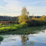 Mercer Slough Nature Park, Washington - 1,047 Reviews, Map | AllTrails