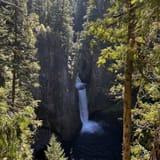 Toketee Falls, Oregon - 2,439 Reviews, Map | AllTrails