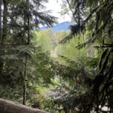 Maple Valley Loop, Washington - 230 Reviews, Map | AllTrails