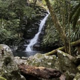 Coomera Circuit Walk, Queensland, Australia - 1,395 Reviews, Map ...