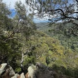 Coomera Circuit Walk, Queensland, Australia - 1,395 Reviews, Map ...