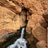 Cascade Falls, Utah - 886 Reviews, Map | AllTrails
