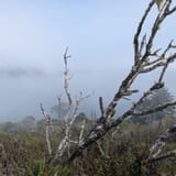 Trinidad Head/Tsurai Loop, California - 1,320 Reviews, Map | AllTrails