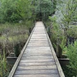 Cedar Point Tideland Trail, North Carolina - 773 Reviews, Map | AllTrails