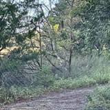 Cedar Point Tideland Trail, North Carolina - 773 Reviews, Map | AllTrails