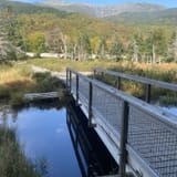 Square Ledge in Pinkham Notch, New Hampshire - 546 Reviews, Map | AllTrails
