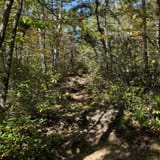 High Rocks Trail, Virginia - 536 Reviews, Map | AllTrails