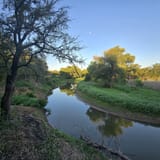 Lake Grapevine Horseshoe Trail, Texas - 2,249 Reviews, Map | AllTrails