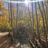 Abyss Trail to Helms Lake, Colorado - 2,744 Reviews, Map | AllTrails