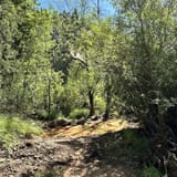 Ellison Creek Cascades, Arizona - 612 Reviews, Map | AllTrails