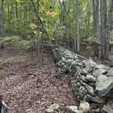 Shuman Blue Loop, Pennsylvania - 1,263 Reviews, Map | AllTrails