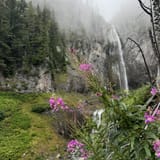 Comet Falls via Van Trump Trail, Washington - 2,929 Reviews, Map ...