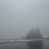 Second Beach, Washington - 2,138 Reviews, Map | AllTrails