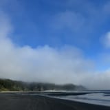 Second Beach, Washington - 2,138 Reviews, Map | AllTrails