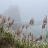 Trinidad Head/Tsurai Loop, California - 1,320 Reviews, Map | AllTrails