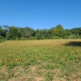 Assunpink Wildlife Management Area Trails, New Jersey - 205 Reviews ...