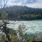 Devil's Hole - Whirlpool Rapids, New York - 1,310 Reviews, Map | AllTrails