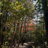 Kebo Brook Trail, Maine - 68 Reviews, Map | AllTrails