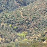 Homestead to Blue Ridge Loop, California - 3,246 Reviews, Map | AllTrails