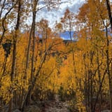 Abyss Trail to Helms Lake, Colorado - 2,744 Reviews, Map | AllTrails