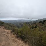 Cold Spring Loop, California - 2,548 Reviews, Map | AllTrails