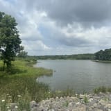 Busse Woods Loop Trail, Illinois - 2,969 Reviews, Map | AllTrails