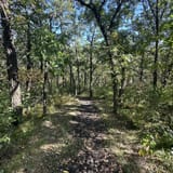 Pembina Rim Trail, Manitoba, Canada - 373 Reviews, Map | AllTrails