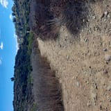 Balboa Park Loop, California - 979 Reviews, Map | AllTrails