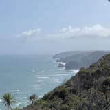 Mercer Bay Loop Track, Auckland, New Zealand - 796 Reviews, Map | AllTrails