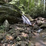 Daniel Ridge Loop, North Carolina - 2,136 Reviews, Map | AllTrails