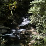 Daniel Ridge Loop, North Carolina - 2,165 Reviews, Map | AllTrails