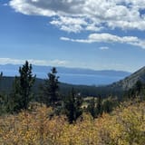 Tamarack Peak Loop, Nevada - 1,138 Reviews, Map | AllTrails