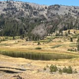 Tamarack Peak Loop, Nevada - 1,138 Reviews, Map | AllTrails