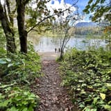 Nolte State Park Deep Lake, Washington - 609 Reviews, Map | AllTrails