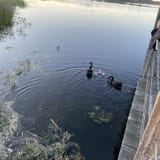 Bibra Lake Loop, Western Australia, Australia - 423 Reviews, Map ...