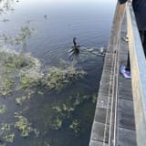 Bibra Lake Loop, Western Australia, Australia - 423 Reviews, Map ...