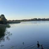 Bibra Lake Loop, Western Australia, Australia - 432 Reviews, Map ...