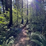 Nolte State Park Deep Lake, Washington - 609 Reviews, Map | AllTrails