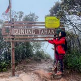 Mount Tahan via Merapoh, Pahang, Malaysia - 30 Reviews, Map | AllTrails