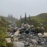 Myrtle Falls Viewpoint via Skyline Trail, Washington - 4,964 Reviews ...