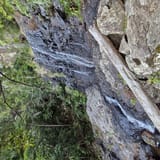 Warrie Circuit, Queensland, Australia - 2,137 Reviews, Map | AllTrails