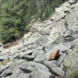 Hope Lake Trail, Colorado - 1,626 Reviews, Map | AllTrails