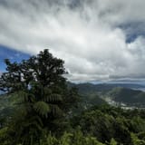 Mount 'Alava Trail, Tutuila, American Samoa - 51 Reviews, Map | AllTrails