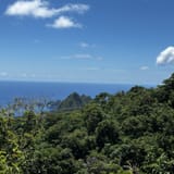 Mount 'Alava Trail, Tutuila, American Samoa - 51 Reviews, Map | AllTrails