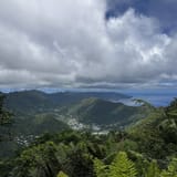 Mount 'Alava Trail, Tutuila, American Samoa - 51 Reviews, Map | AllTrails