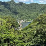 Mount 'Alava Trail, Tutuila, American Samoa - 51 Reviews, Map | AllTrails