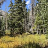 Ypsilon Lake Trail, Colorado - 1,348 Reviews, Map | AllTrails