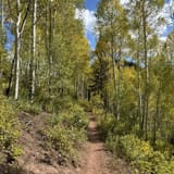 Wasatch Crest Trail, Utah - 362 Reviews, Map | AllTrails