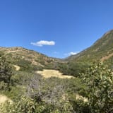 Red Butte Canyon Overlook, Utah - 538 Reviews, Map | AllTrails